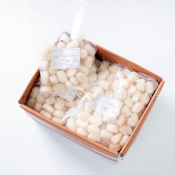 腰子貝|COMB PEN SHELL MEAT – 樂客生活事業