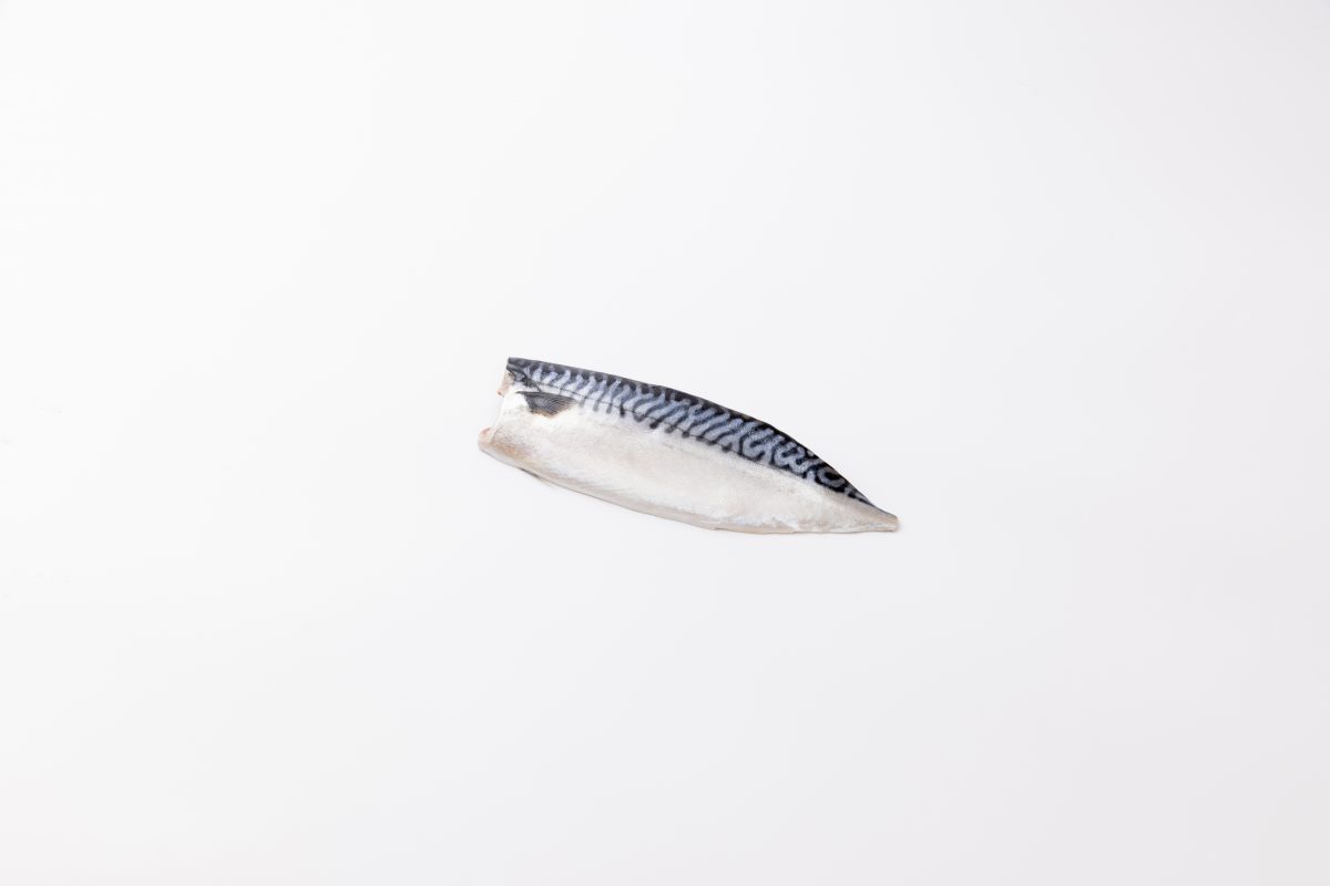 鯖魚片|ATLANTIC MACKEREL FILLET – 樂客生活事業
